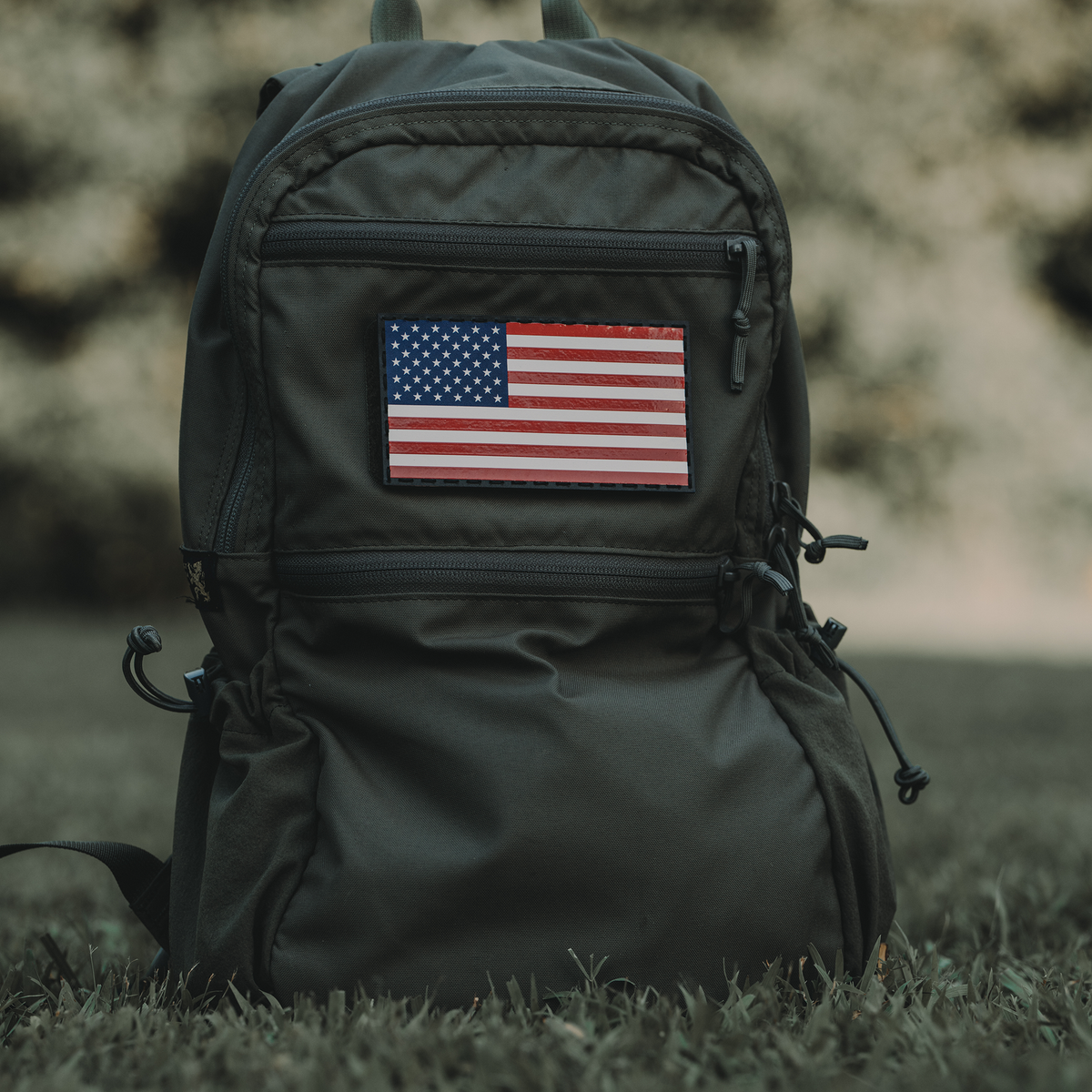 Americana Collection – Tagged "americana"– Moral Decay Patchwork